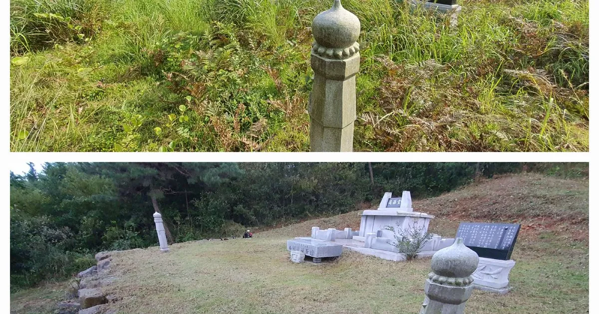 벌초대행 추억만들기 숨고 숨은고수