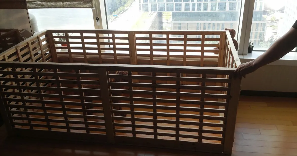 애견 울타리 김상준 숨고 숨은고수