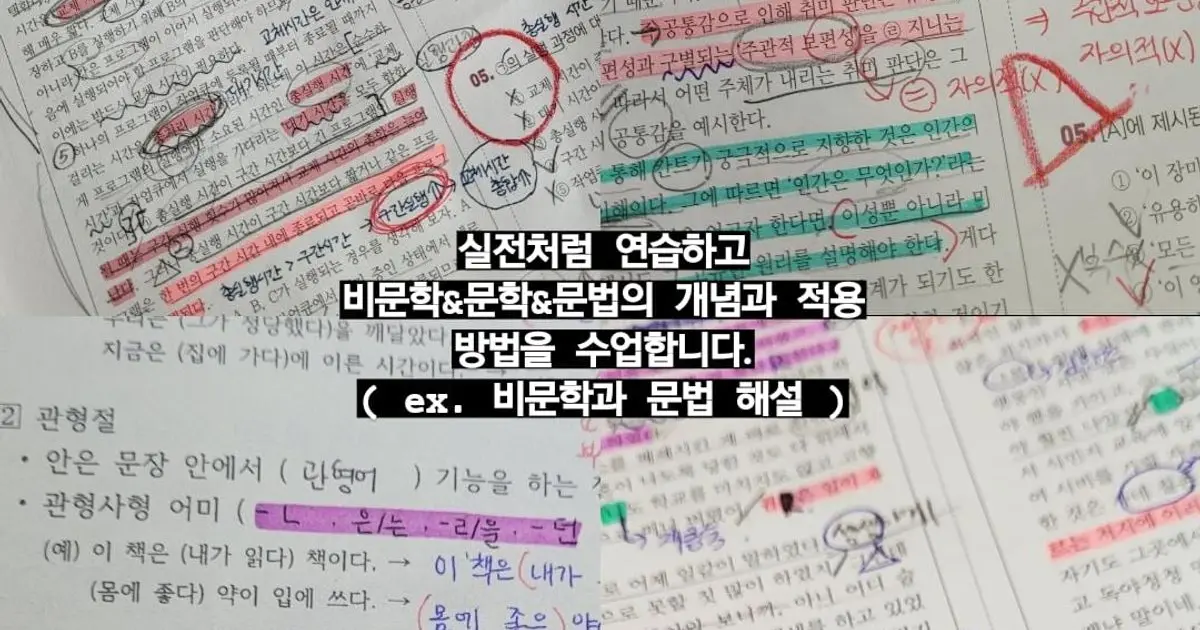국어 점수 향상을 목표로 합니다 백채윤 숨고 숨은고수