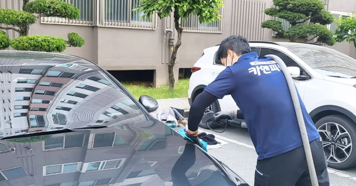 출장 스팀 세차 문성현 숨고 숨은고수