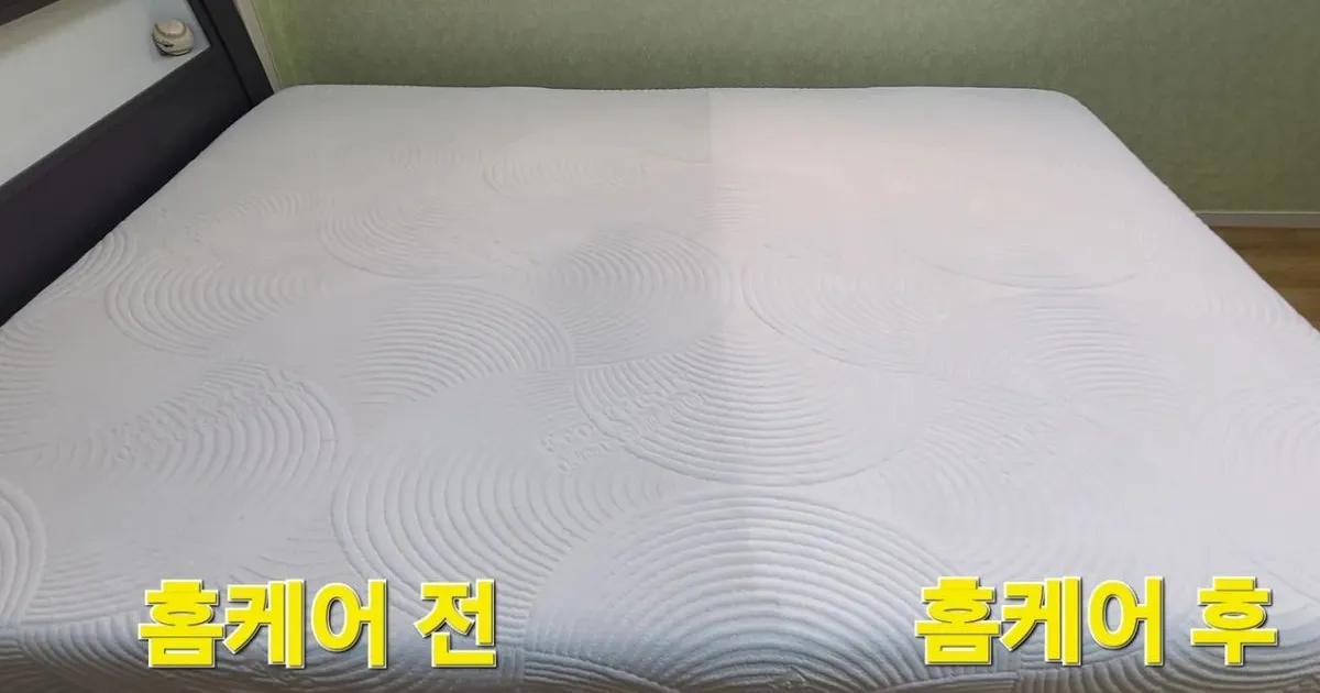 매트리스청소 풀하우스홈케어 숨고 숨은고수
