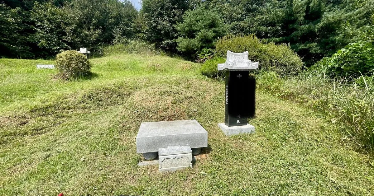 봉분작업 전후 사진입니다 박지찬 숨고 숨은고수