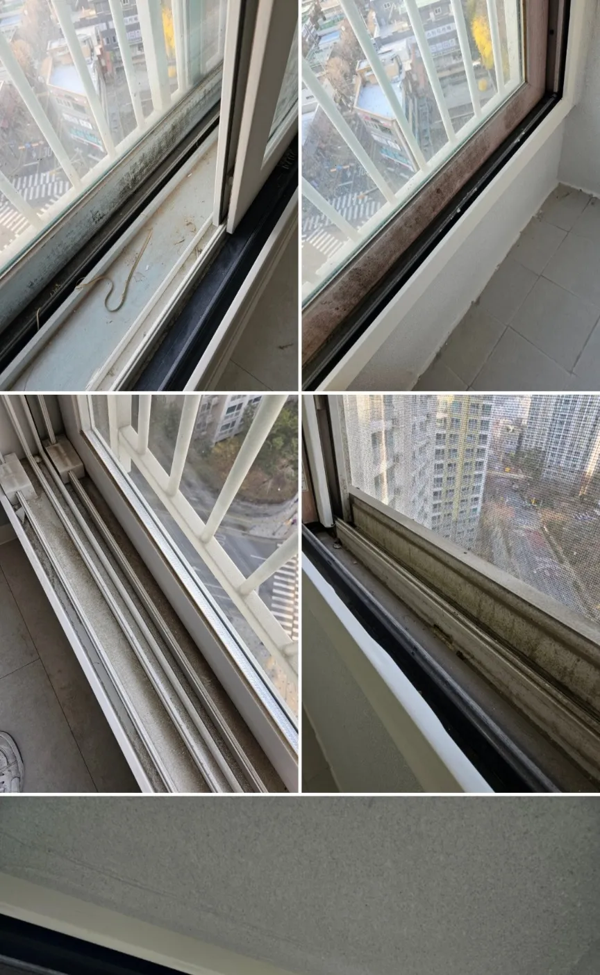 인천 남동구 구월동 입주청소 항상 열심히 하겠습니다 하청 ️직영⭕️ 꼼꼬미청소 평점⭐️ 50 만점 숨고 숨은고수