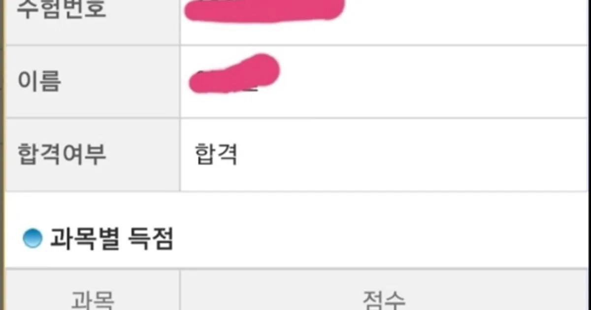 2021 정처기 실기 고득점 합격 임성민인생교수 숨고 숨은고수