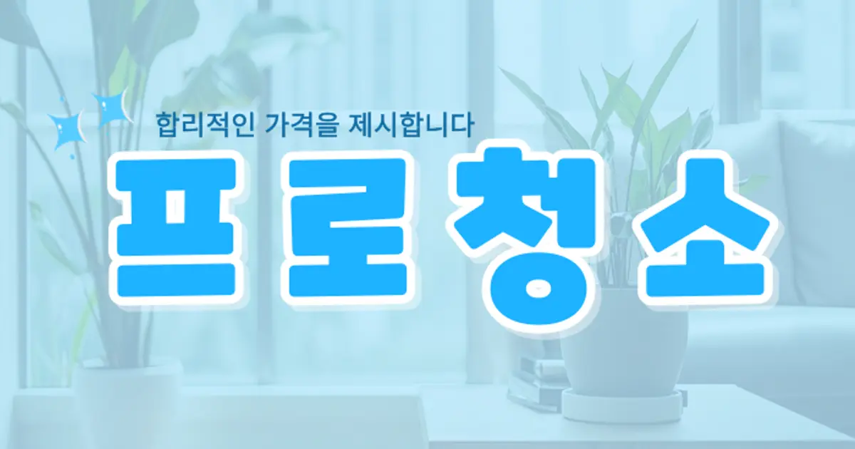 화장실 청소 프로청소 숨고 숨은고수
