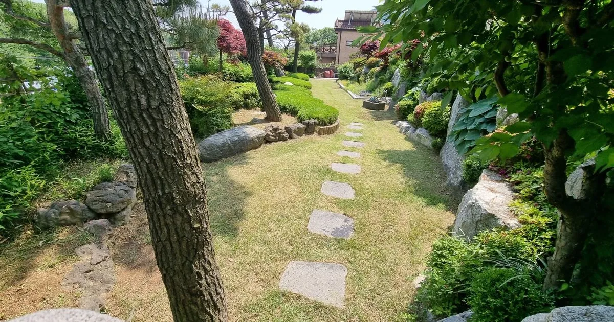 개인주택 50평 고고가든 숨고 숨은고수