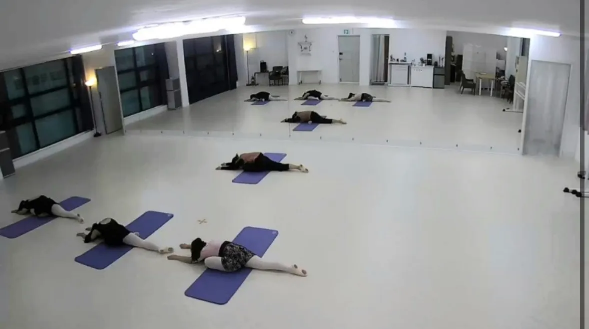 유아발레 및 성인발레 수업 방수인 숨고 숨은고수