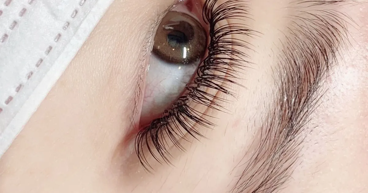 속눈썹연장 유소연 숨고 숨은고수