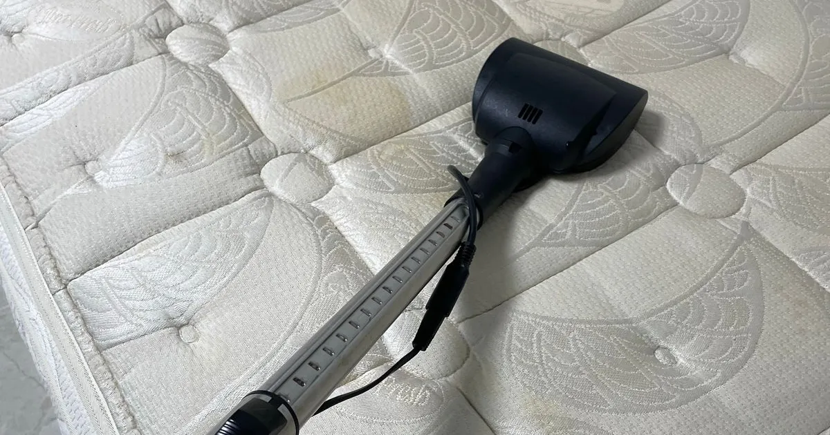침대 메트리스 케어 비치움부산지사 숨고 숨은고수