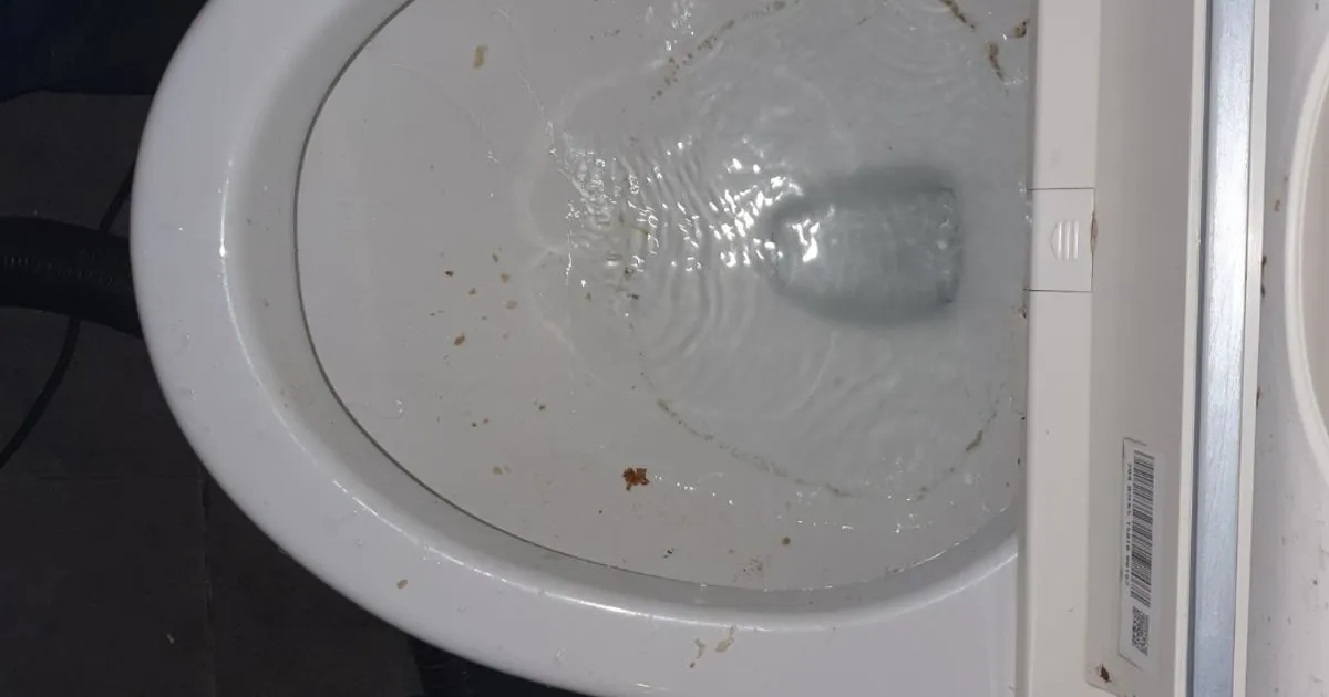 변기 물이 잘 안내려가요 올클리어배관 숨고최고업체하수구막힘각종수전교체 숨고 숨은고수
