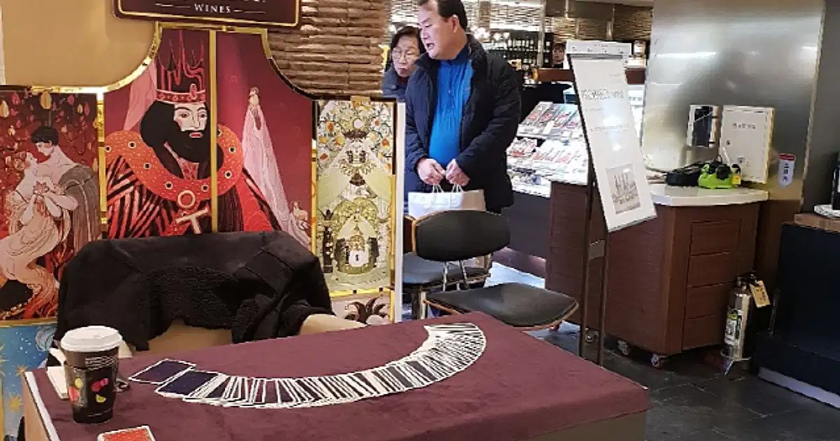이벤트 행사 타로 마스터 착한 숨고 숨은고수