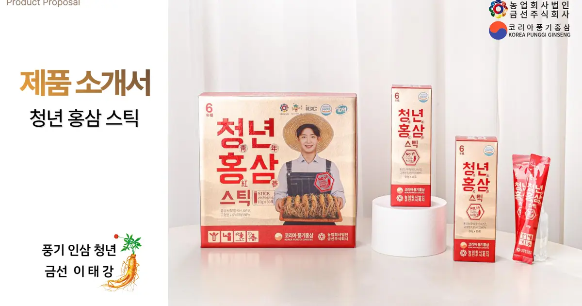 제품소개서 사업제안서 가성비ppt 숨고 숨은고수