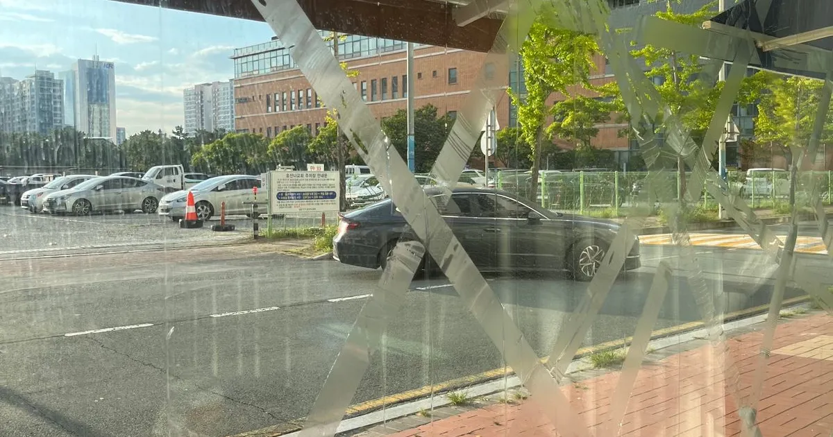 부산 명지꽃집 테이프자국 제거 클린케어종합청소전문 숨고 숨은고수