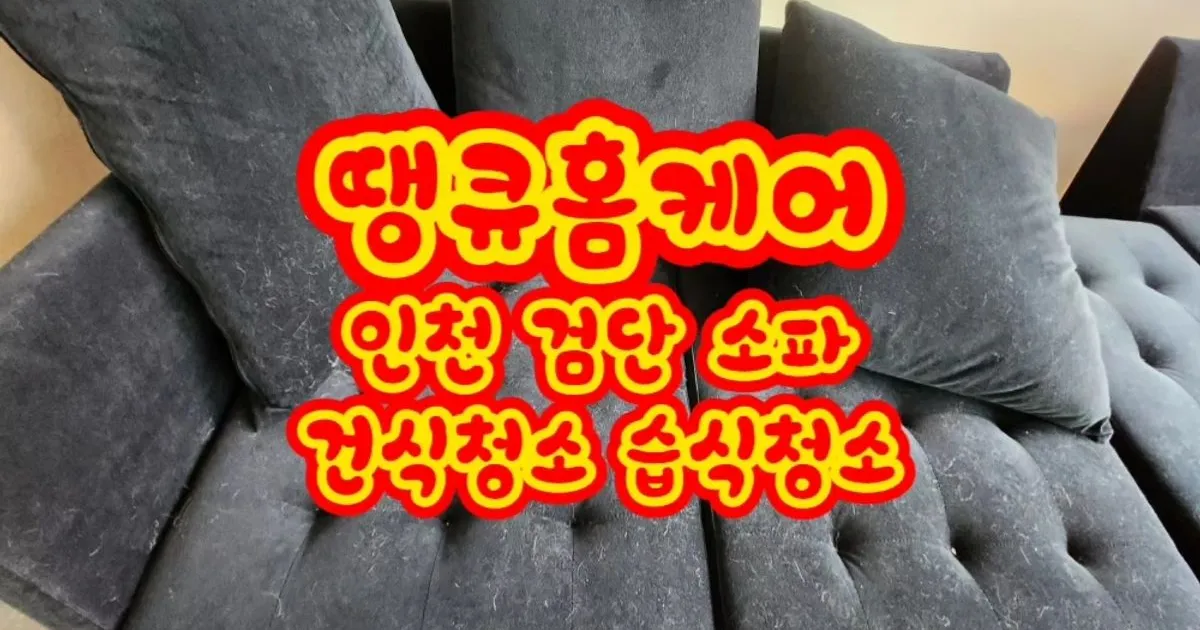 인천 검단 소파 습식케어 땡큐홈케어 숨고 숨은고수