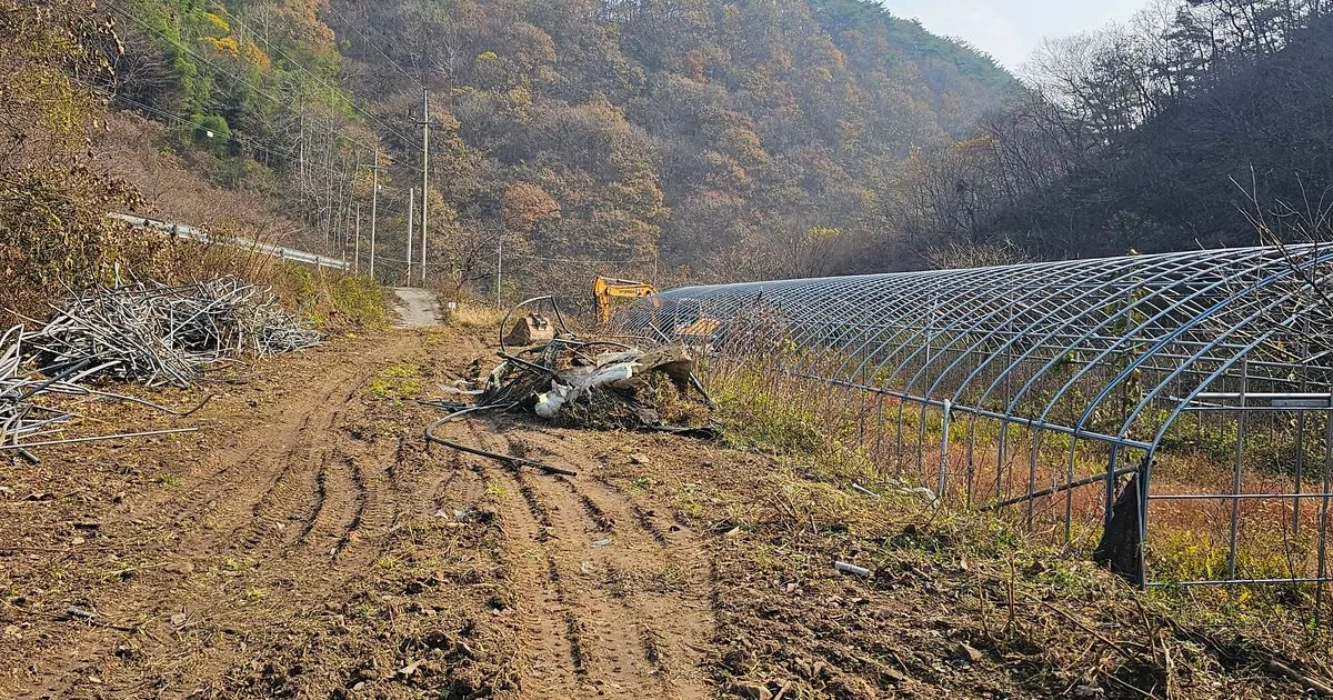 하우스 철거 육따블 숨고 숨은고수