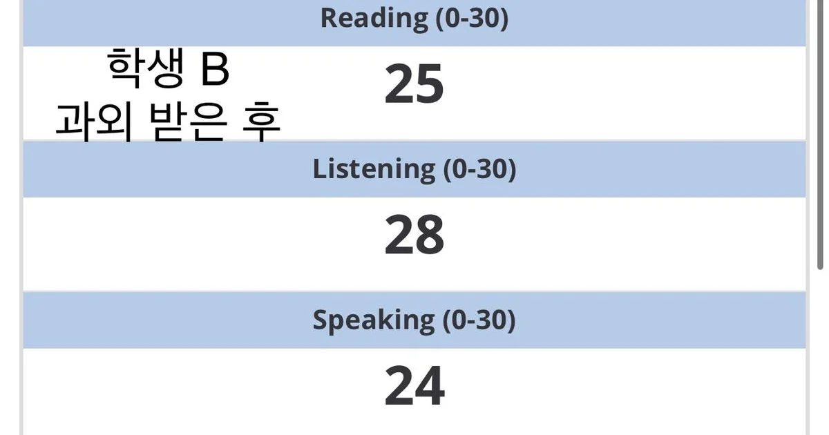 토플 강의 이재웅 숨고 숨은고수