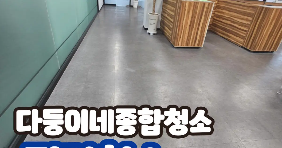 정기청소 아이들이사용하는공간처럼 다둥이네종합청소 숨고 숨은고수