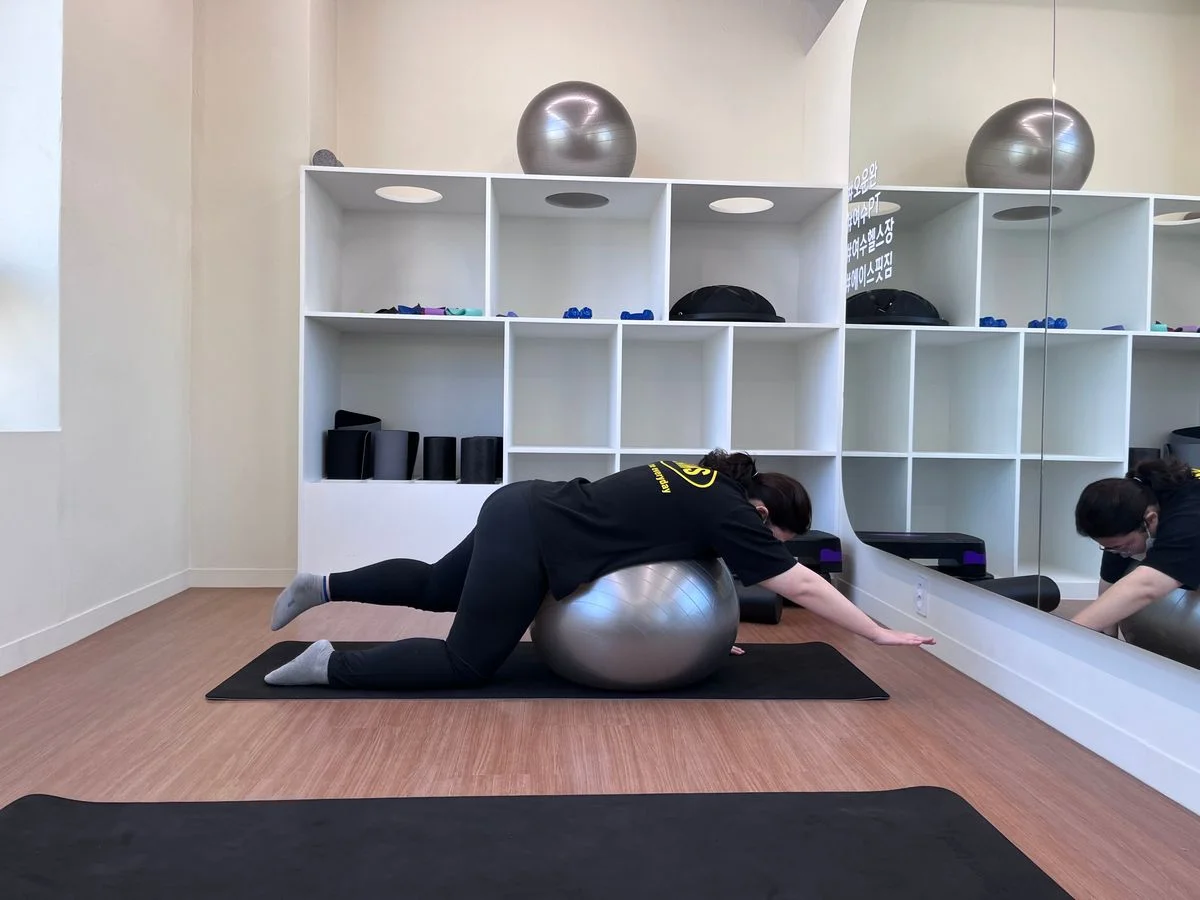 다이어트바디프로필 밸런스 맞추기 근력향상 임혜진 숨고 숨은고수