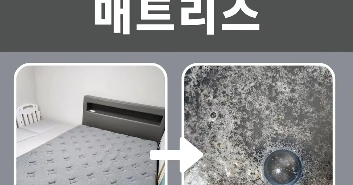 매트리스 건습식 케어 쇼파전문 리프레쉬데이 숨고 숨은고수