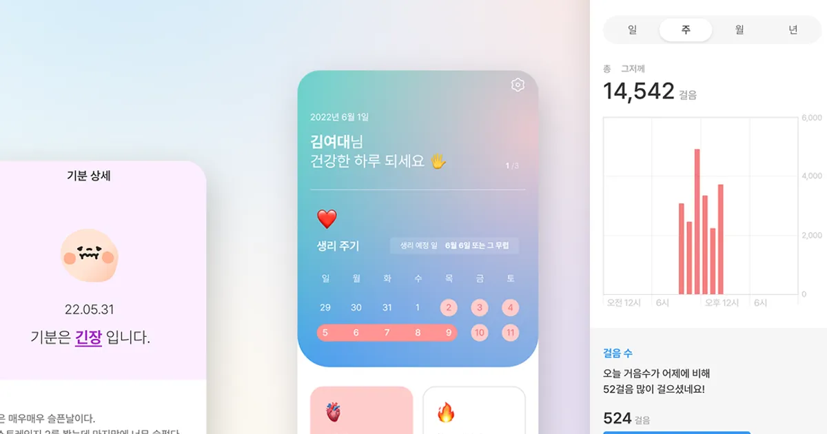 헬스팔레트 여성 건강 정보 수집 Ios 어플리케이션 로캣티어 미니 숨고 숨은고수