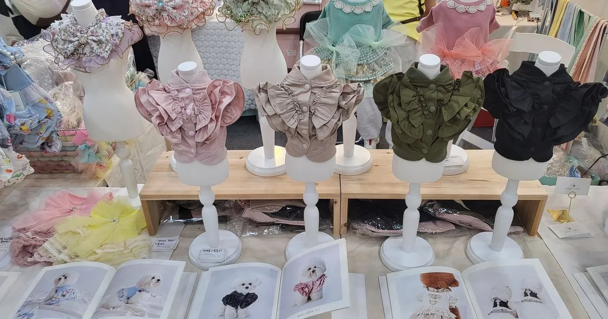 애견의류 브랜드런칭 및 창업 브랜딩 하기 강리아 숨고 숨은고수