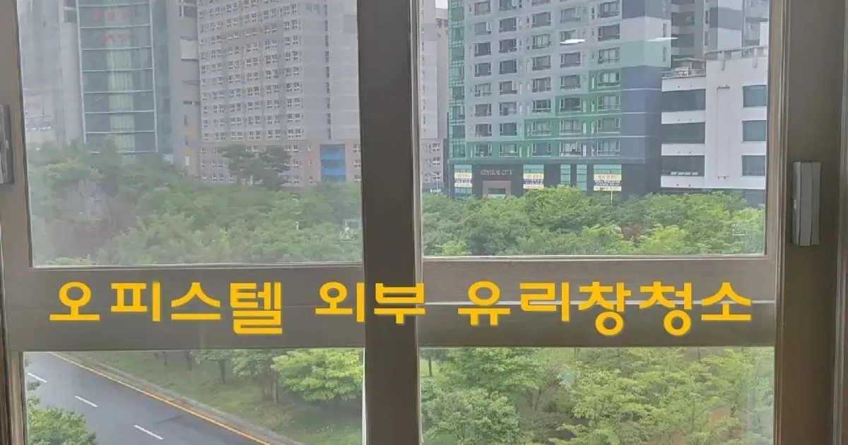 오피스텔 외부 유리창청소 새싹존 숨고 숨은고수