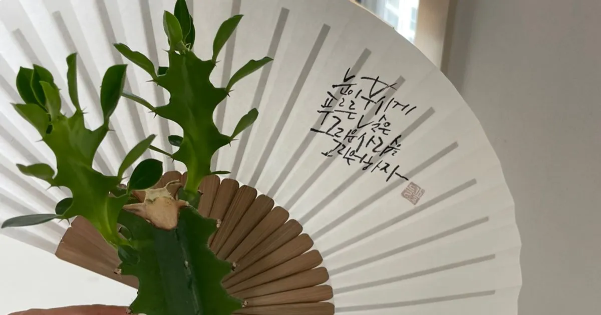 내 글씨로 작품만들기 임은경dino 숨고 숨은고수