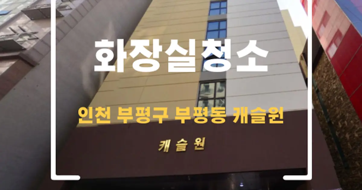 인천 부평구 부평동 캐슬원 화장실청소 리프레싱 클린 숨고 숨은고수