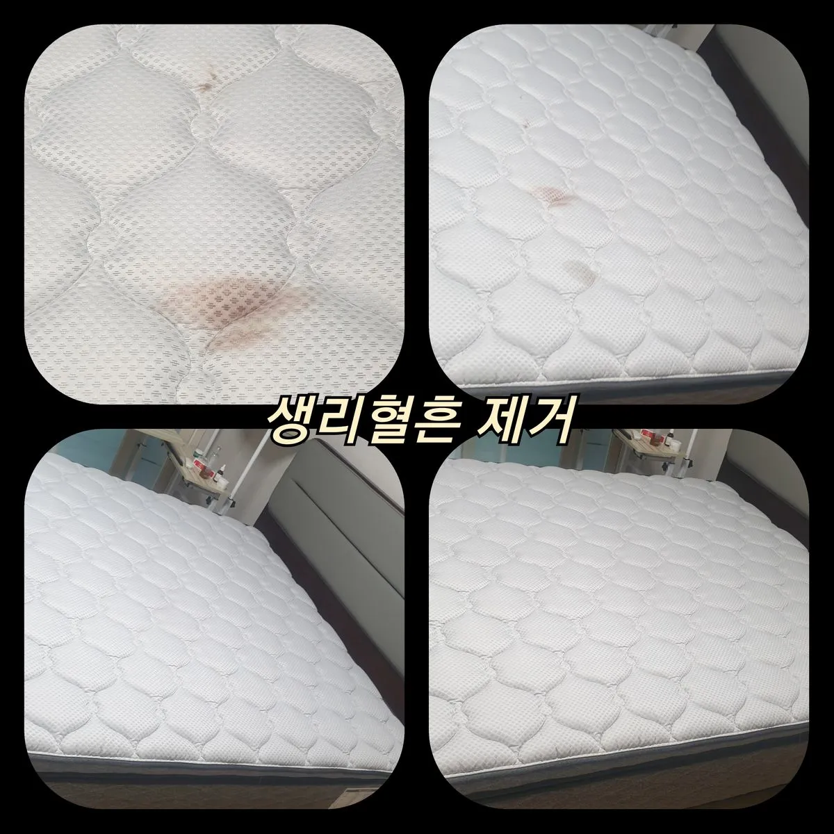 생리혈흔 제거 청년홈케어김승곤 숨고 숨은고수
