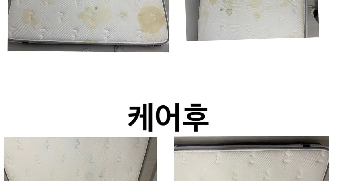 침대 매트리스 오염강아지 오줌 든해 홈케어 따듯함을 전하다 숨고 숨은고수