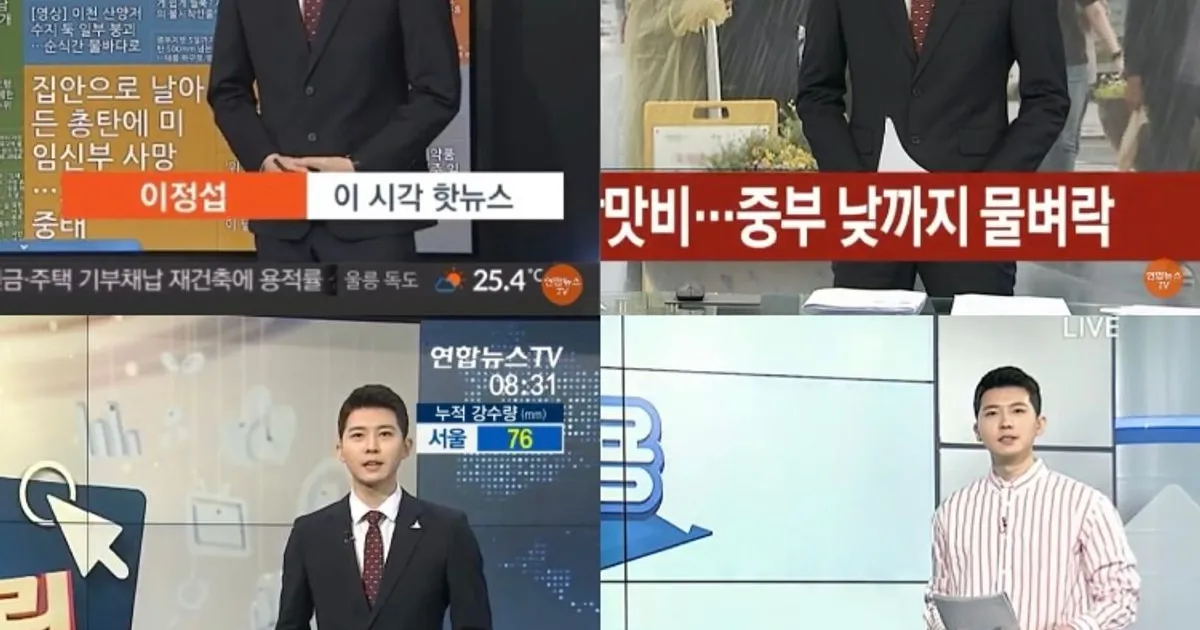 모든 부부가 추천하는 단연코 가장 완벽한 결혼식 사회자 아나운서ytn 이정섭 숨고 숨은고수