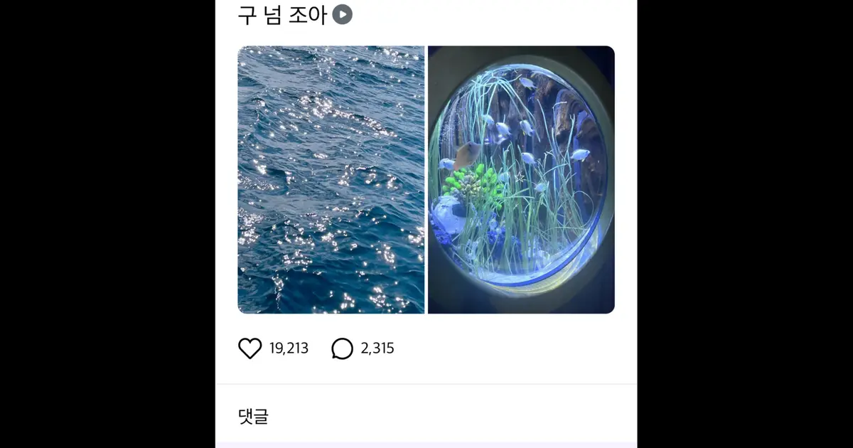 글로벌 커뮤니티 네이티브 앱 서비스 관리자 기획 제나로 숨고 숨은고수