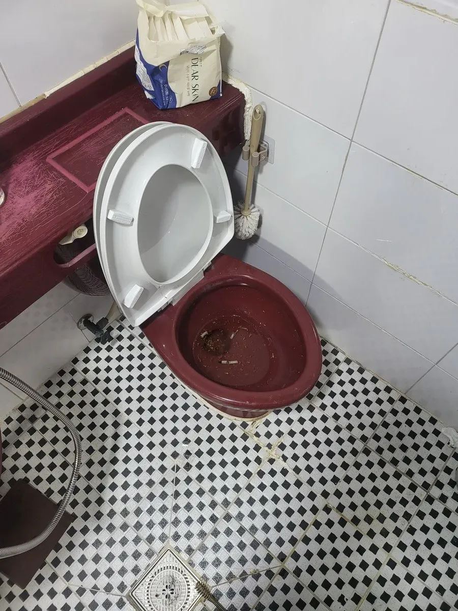 뚜러콩 뚜러콩 24시 하수구 변기 배관막힘역류 고압세척 숨고 숨은고수