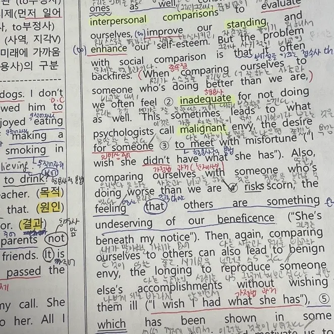 영어과외 Eve 숨고 숨은고수