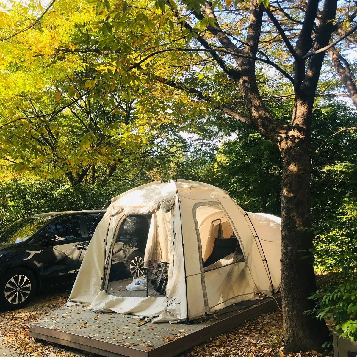 캠핑 풀세트 양희주 숨고 숨은고수