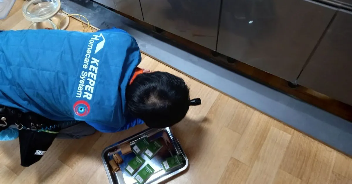 해충을 박멸하는 가장쉬운 방법 제로키퍼방역 제로키퍼방역 해충을 박멸하는 가장쉬운 방법 숨고 숨은고수