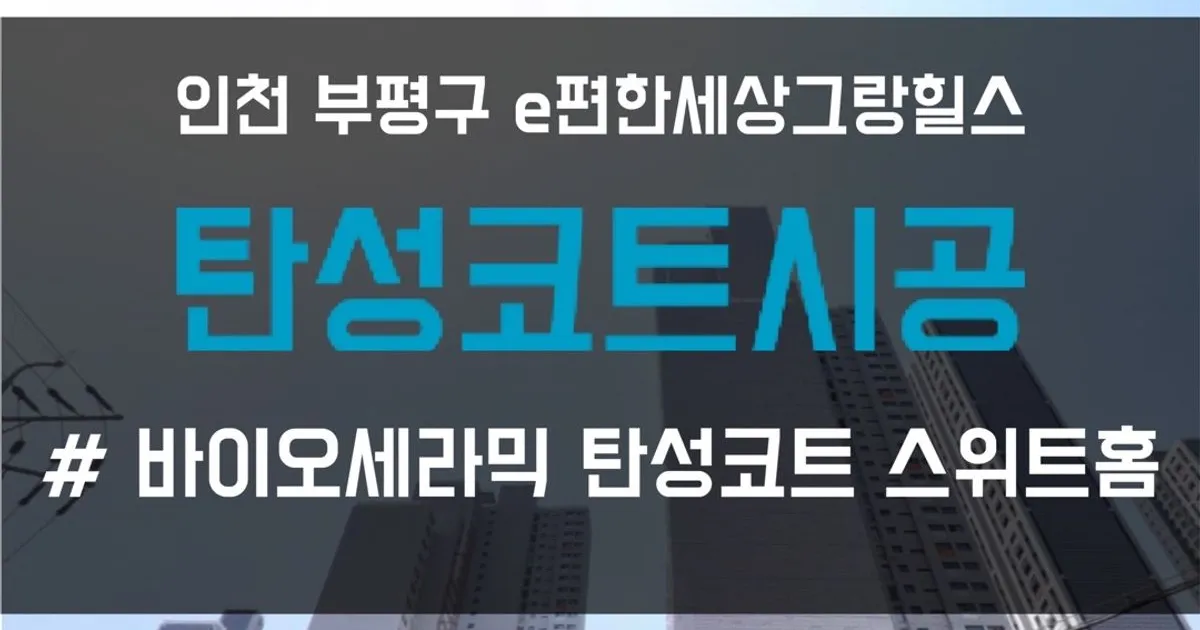인천부평구 이편한세상 그랑힐스 김태은 숨고 숨은고수