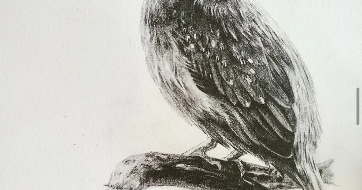 Jennifer room / 박문정 - 숨고, 숨은고수