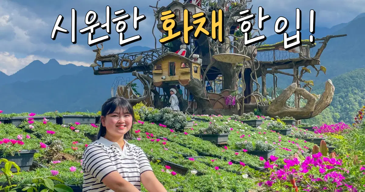 유튜브 촬영 및 편집 썸네일 제작 혜은 숨고 숨은고수