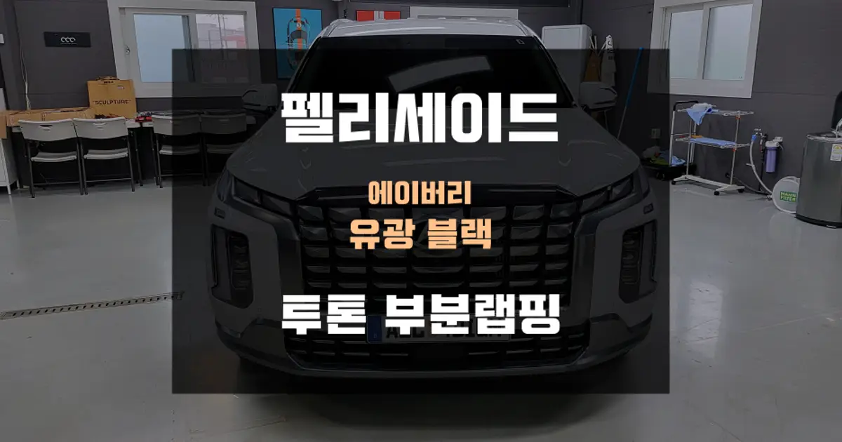 펠리세이드 투톤 랩핑 완벽 시공 올포디움 랩핑 Ppf 숨고 숨은고수