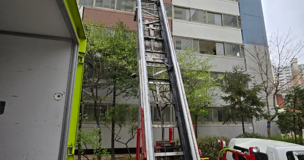 이사짐현장작업 조규성 숨고 숨은고수
