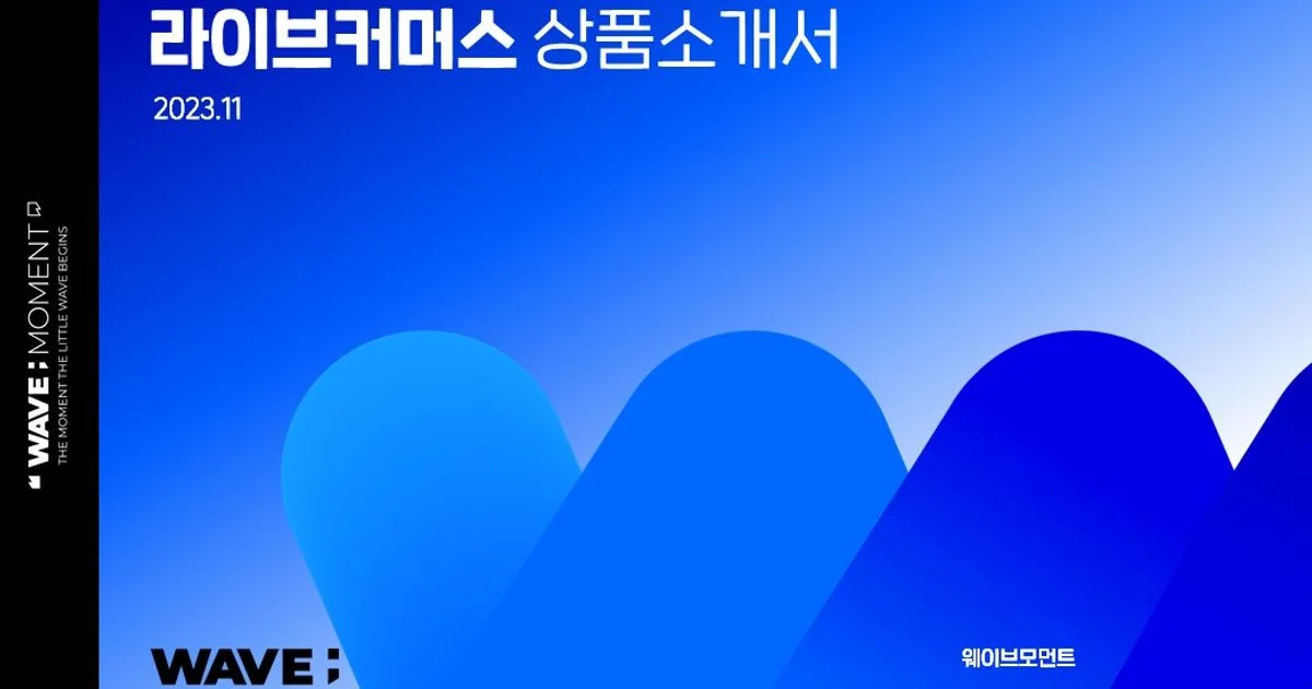 라이브커머스 소개서 모스라이브 숨고 숨은고수