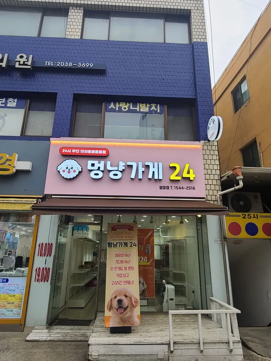 애견 제일광고 숨고 숨은고수