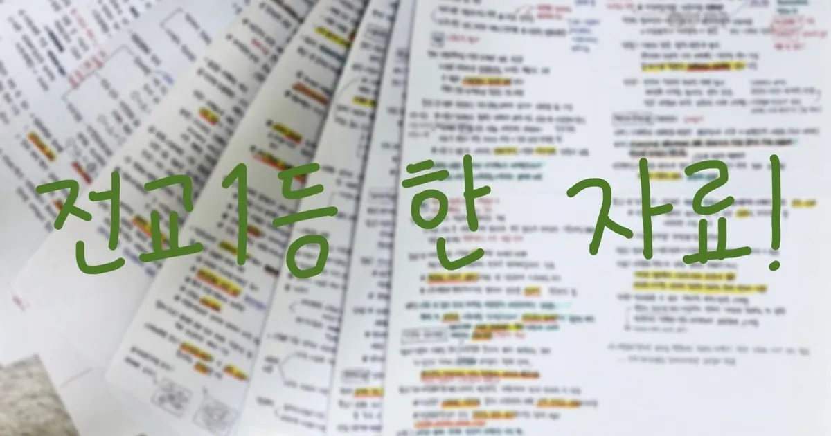 생활과 윤리 윤리와 사상 사회문화 홍은비 숨고 숨은고수