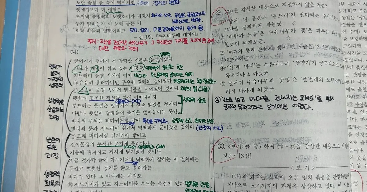 2021년도 리얼 모의고사 국어 김지민 숨고 숨은고수