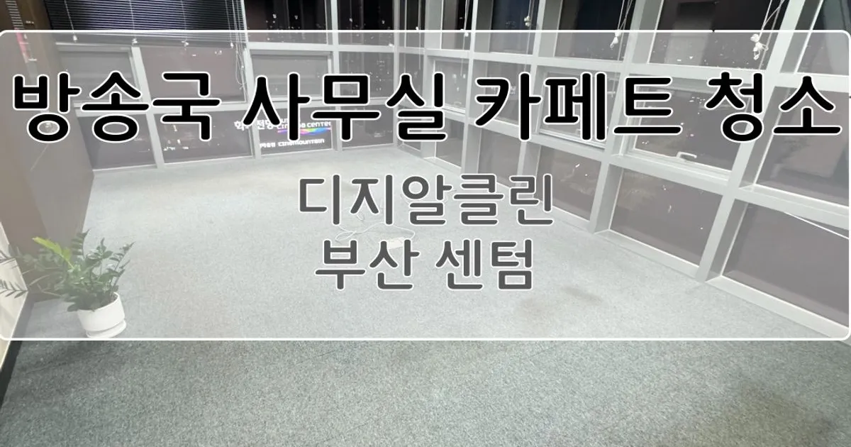 부산 센텀 방송국 사무실 카페트 청소 부산경남 찐” 종합청소 디지알클린 숨고 숨은고수