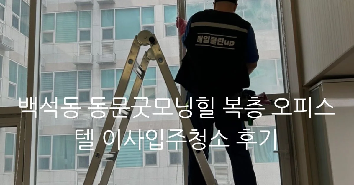복층 이사청소 매일클린업블로그매일클린업 숨고 숨은고수