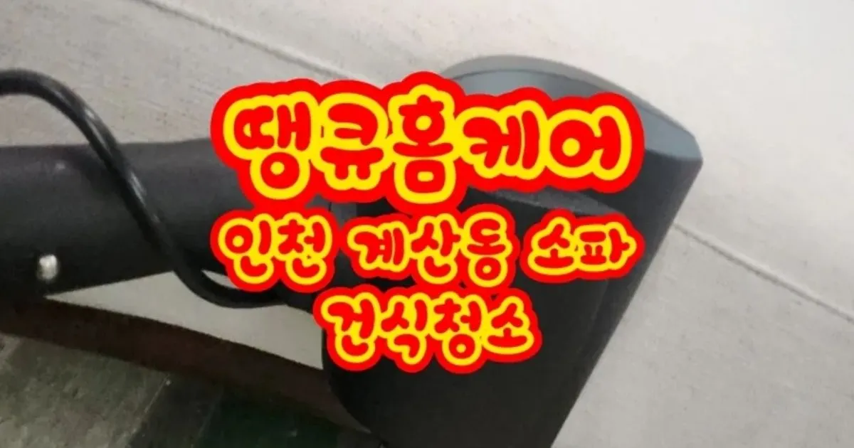 인천 계산동 소파 건식청소 땡큐홈케어 숨고 숨은고수