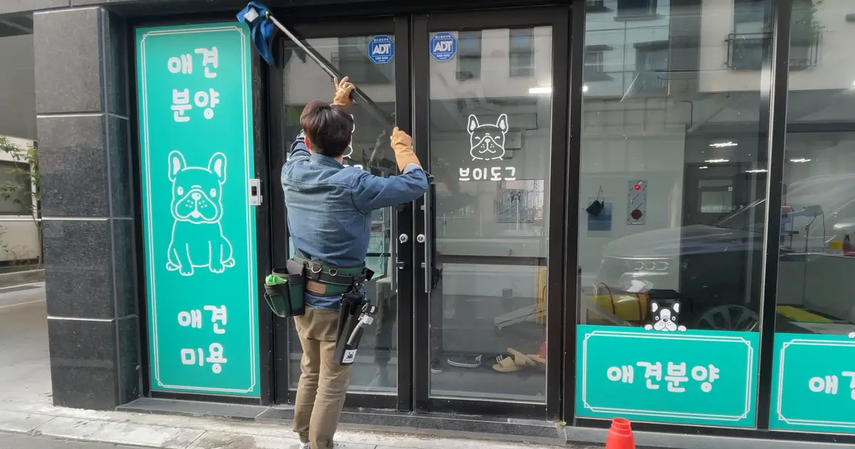 대전 애견샵 유리창청소 순수클린 유리창청소 숨고 숨은고수