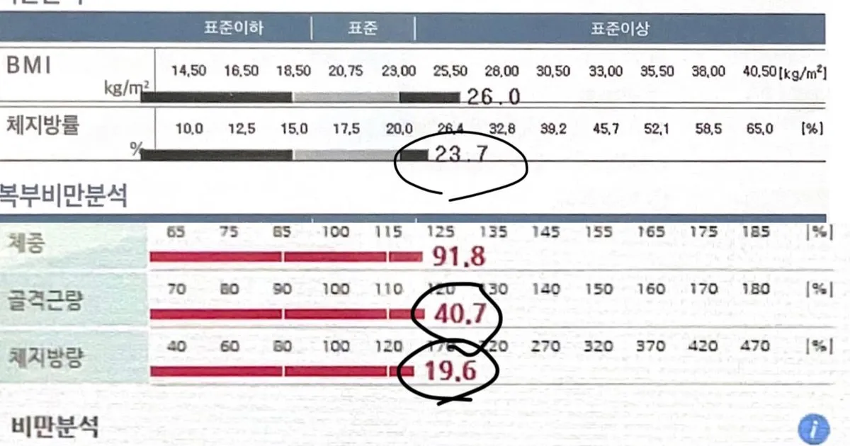 인바디 비포 애프터 박희성 숨고 숨은고수